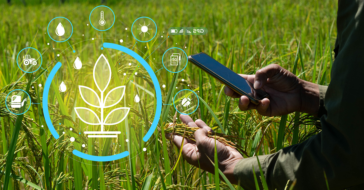 Revolutionizing Agriculture: The Role of Artificial Intelligence in ...